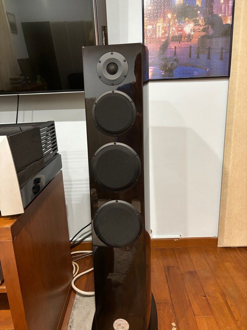 Floorstanders Speakers: Atohm GT3-HD (Made In France), Wengnut piano ...