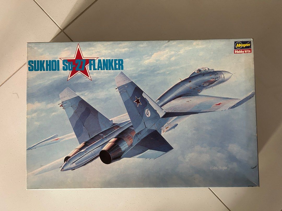 Model Fighter Jet by Hasegawa, Hobbies & Toys, Memorabilia & Collectibles, Vintage Collectibles ...