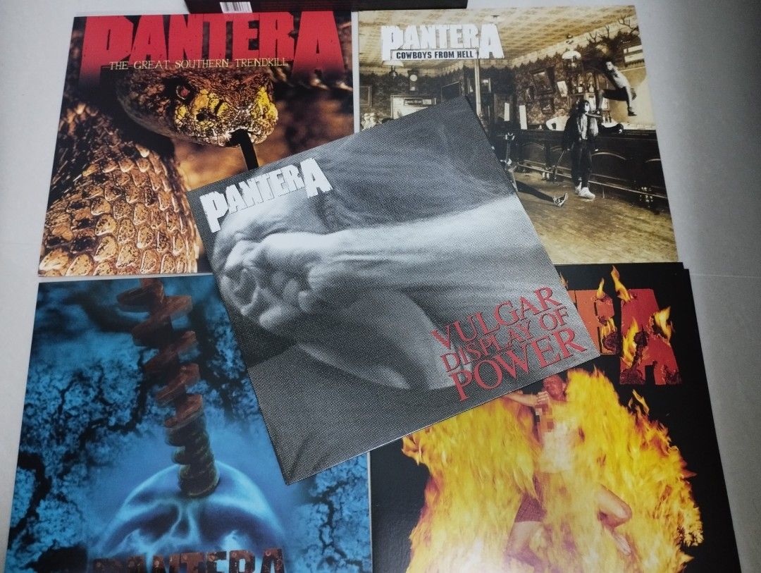 Pantera vinyls, Hobbies & Toys, Music & Media, Vinyls on Carousell