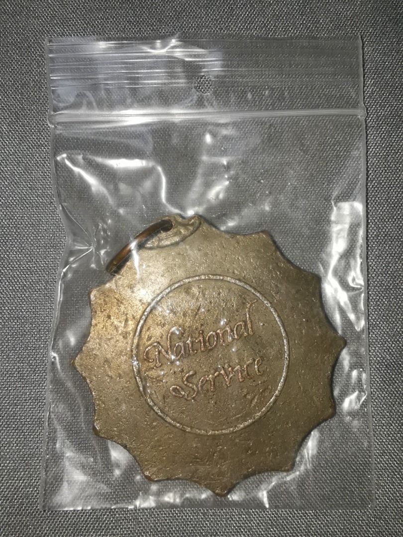 Singapore Army (Tentera Singapura) National Service (NS) Badge, Hobbies ...