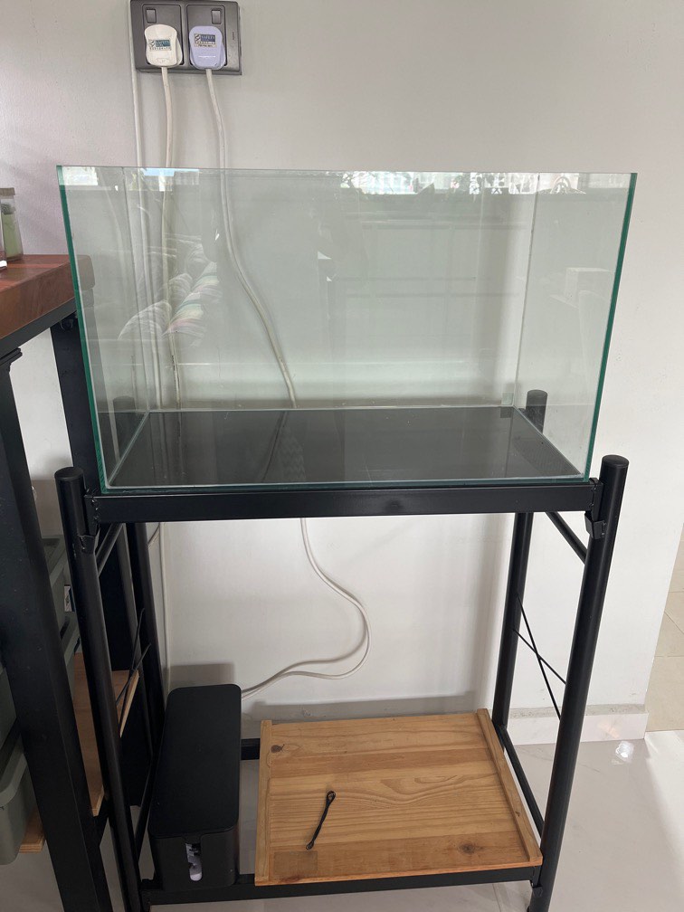 2 Feet Tank with Stand, Pet Supplies, Homes & Other Pet Accessories on ...