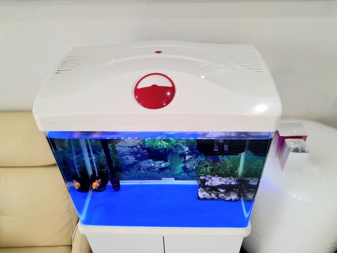 2ft fish tank - with storage cabinet, Pet Supplies, Homes & Other Pet ...