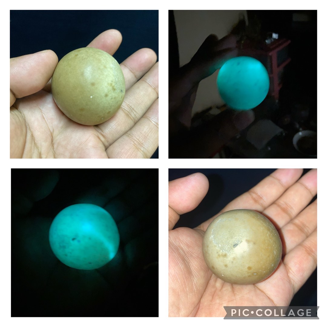 Batu geliga sarang ular / Fosfor, Hobbies & Toys, Collectibles ...