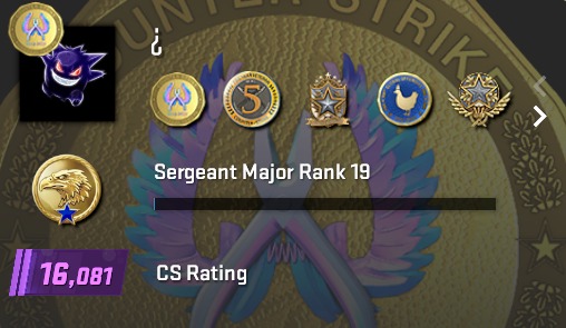 CS2 Account (16K Premier Rating), Video Gaming, Gaming Accessories, In ...