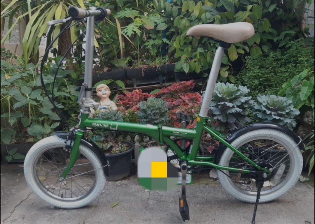 Dahon Pantone Miniboardwalk 16" 6speed Ready to use, Sports Equipment ...