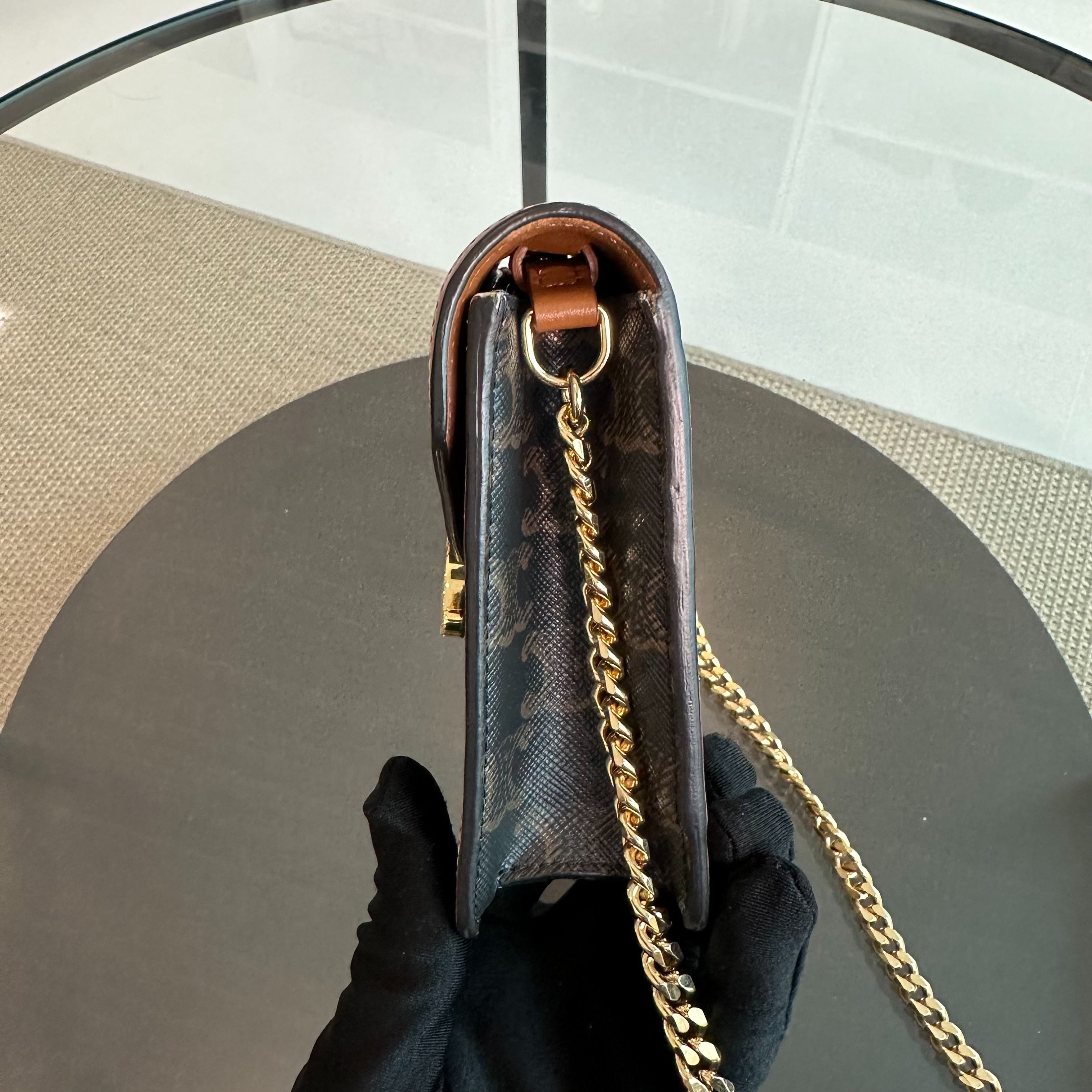 *Full Set* Celine Triomphe Envelope WOC Wallet On Chain Coated Canvas ...