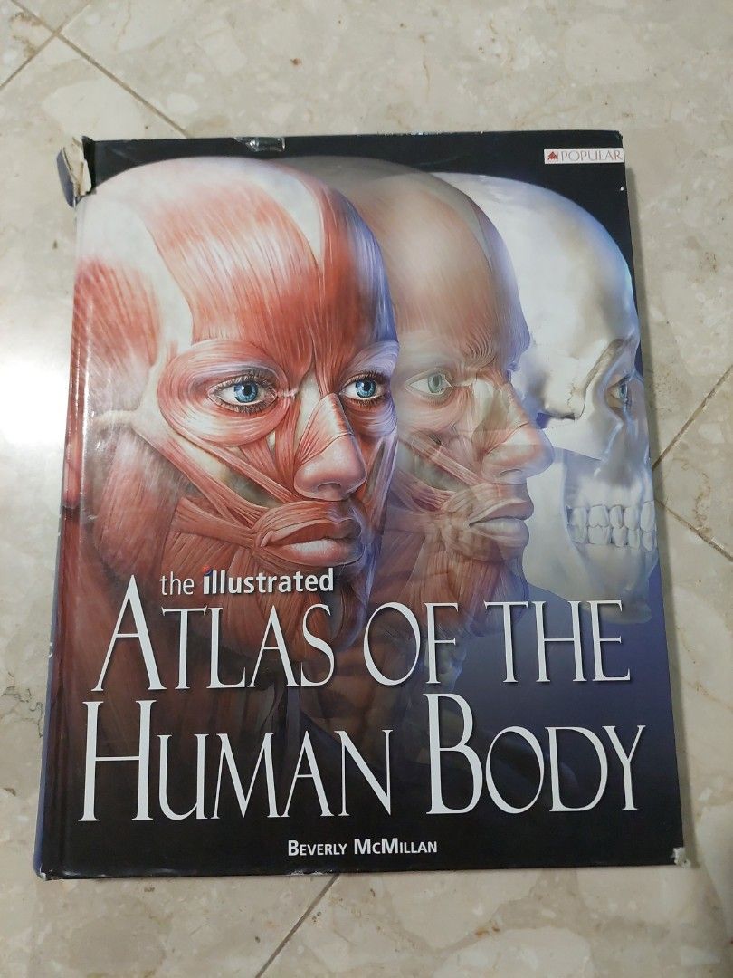 illustrated ATLAS OF HUMAN BODY, Hobbies & Toys, Books & Magazines, Textbooks on Carousell