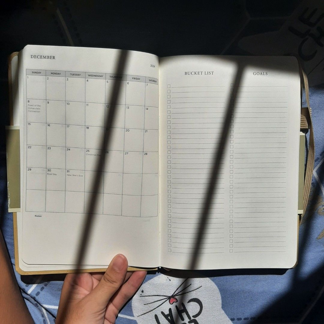 Limelight 2024 planner 366, Hobbies & Toys, Stationary & Craft ...