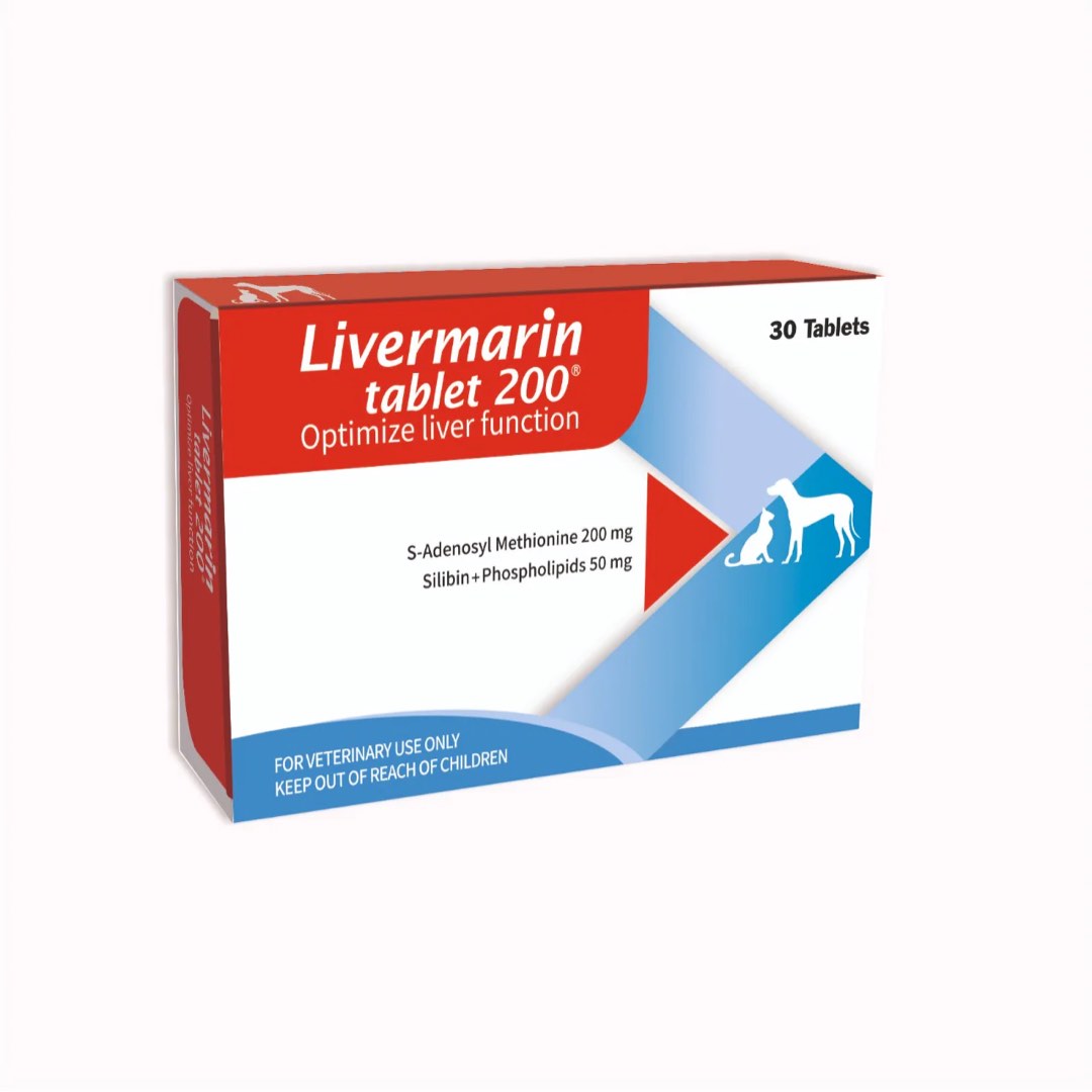 Livermarin 200mg Liver Supplement Tablets for Dogs and Cats 30s, Pet ...