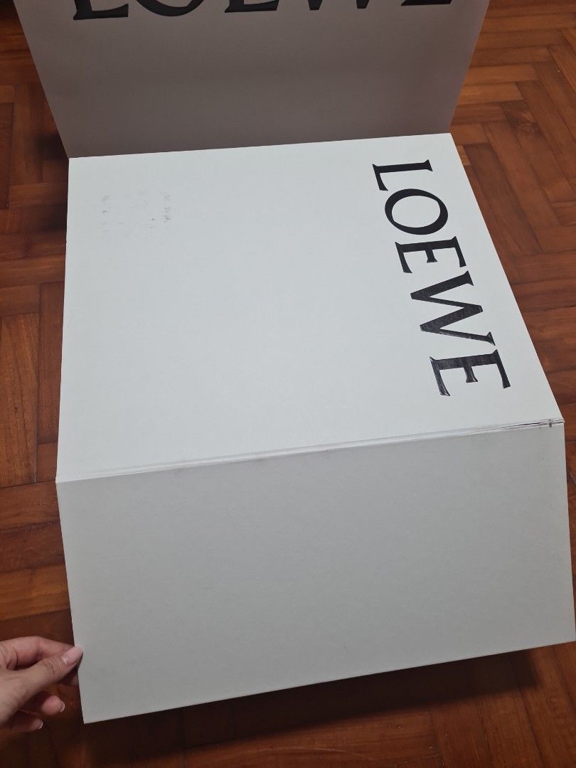 Loewe Paper Bag Magnetic Box, Luxury, Accessories on Carousell