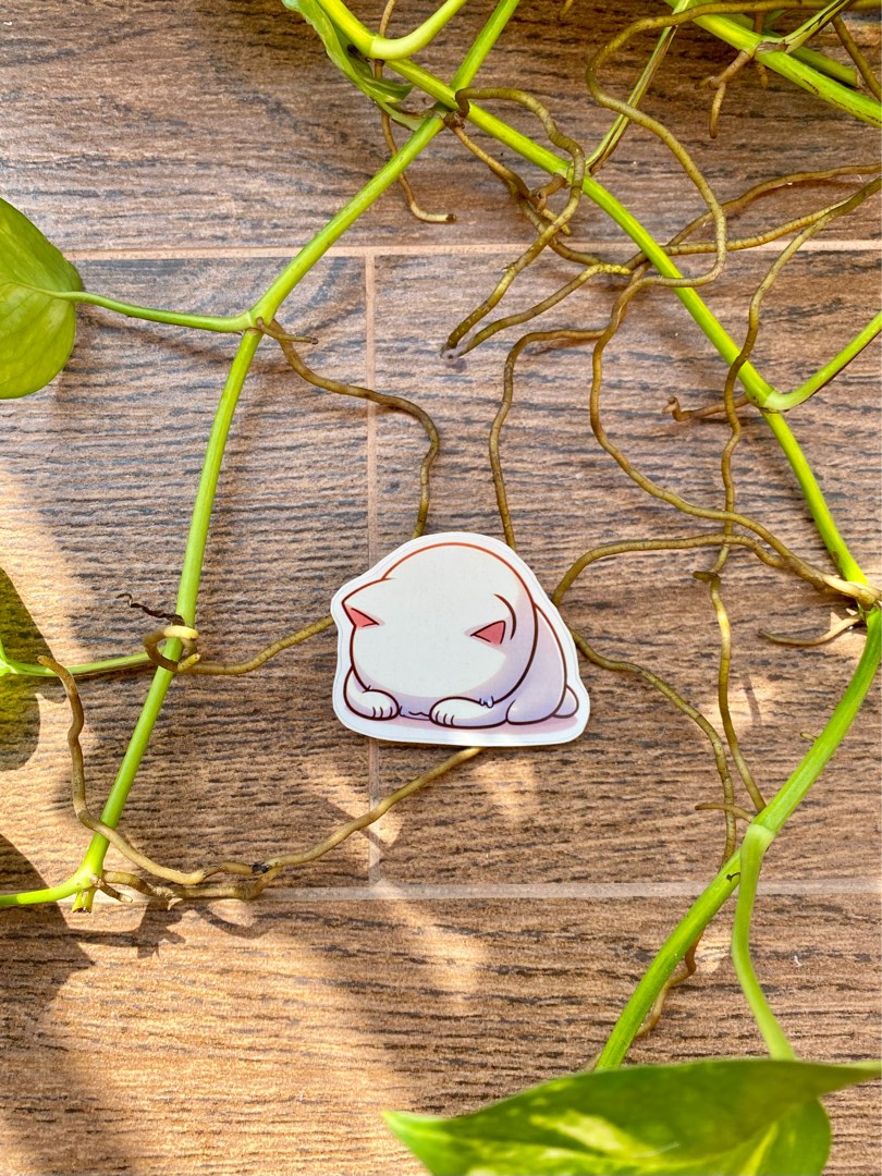 mental breakdown cat