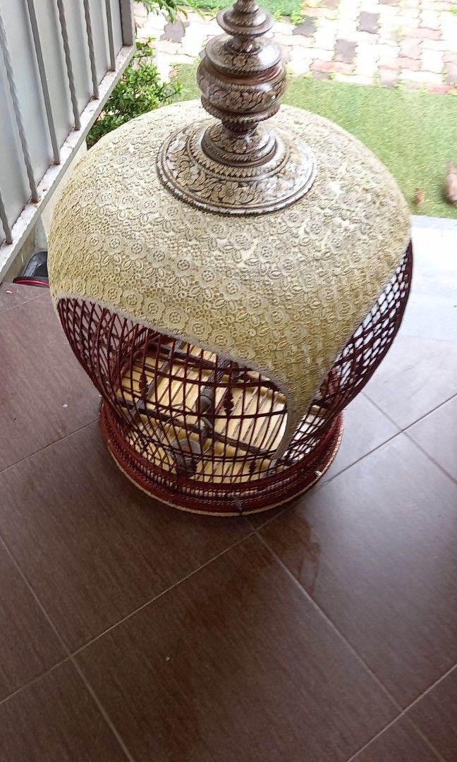 MOP original merbok Bird cage, Pet Supplies, Homes & Other Pet ...