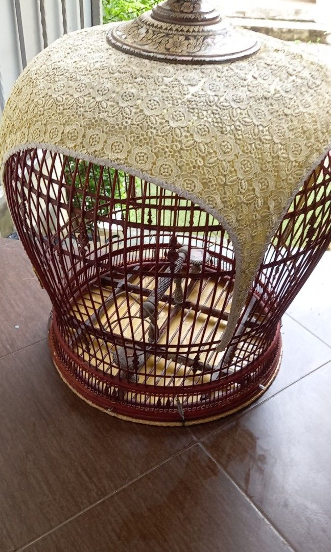 MOP original merbok Bird cage, Pet Supplies, Homes & Other Pet ...