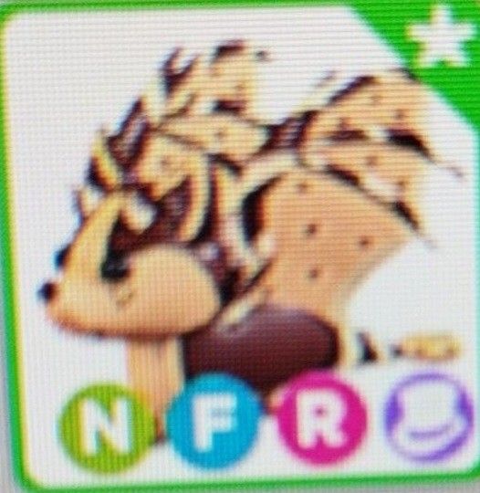 NFR Chocolate Chip Bat dragon CCBD Adopt me Roblox Game pet, Video ...