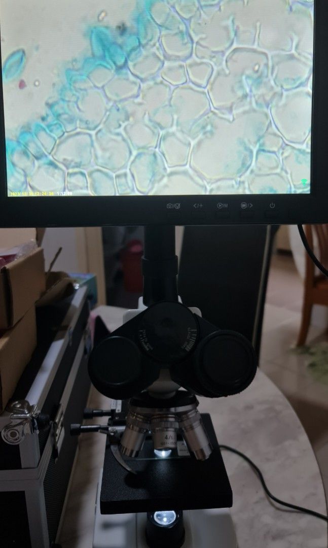 Professional Digital Trinocular HD biological Lab Veterinary Animal ...