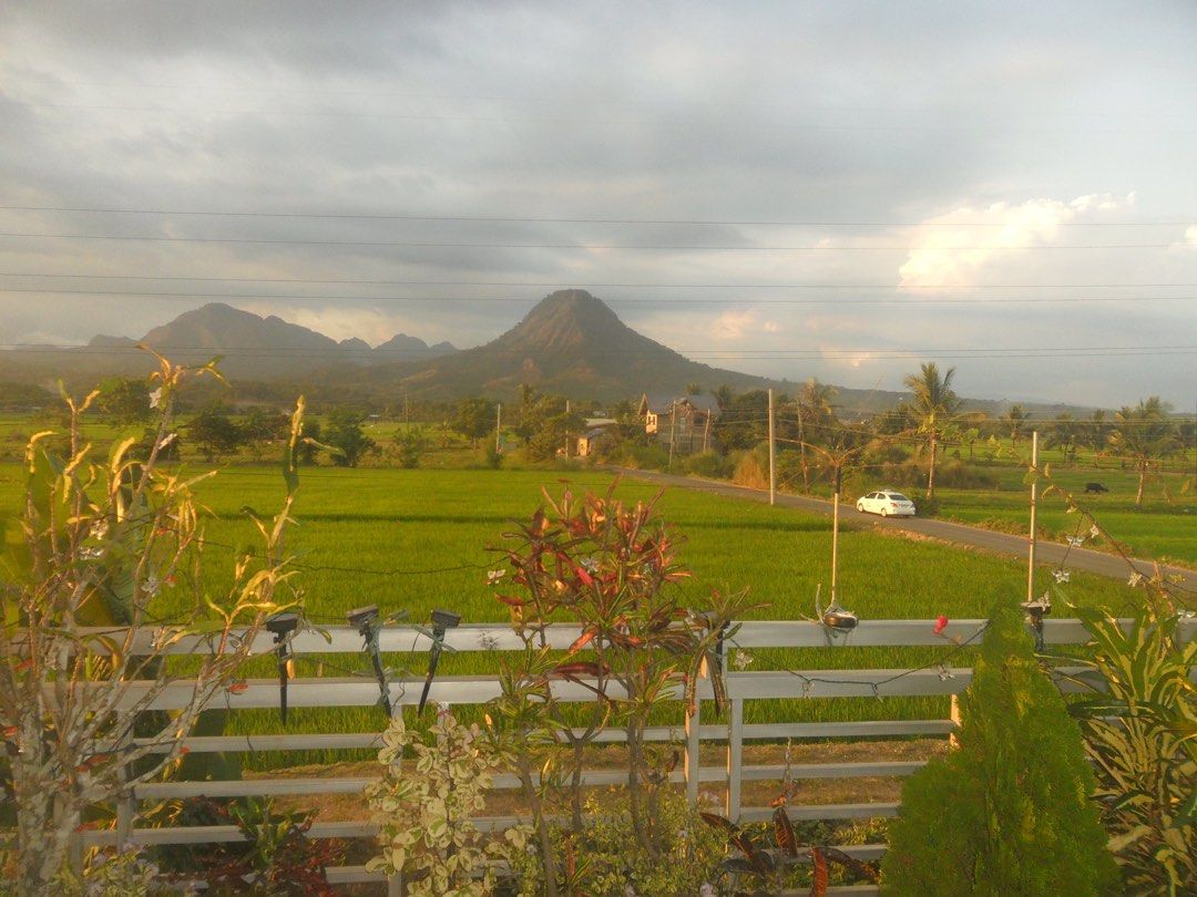 Samsung ES65 Pink Digital Camera Digicam Y2K, Photography, Cameras on ...