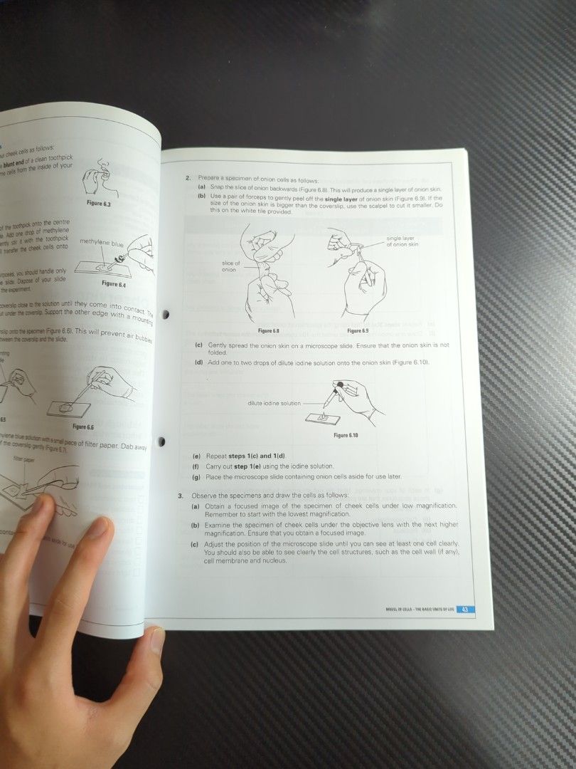 Science for Lower Secondary (Textbook + Activity book), Hobbies & Toys ...