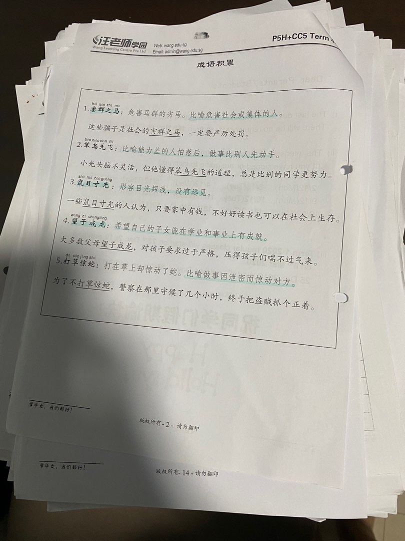 FOCWP Wang Learning Centre 王老师 P4/5/6 higher chi materials, Hobbies ...