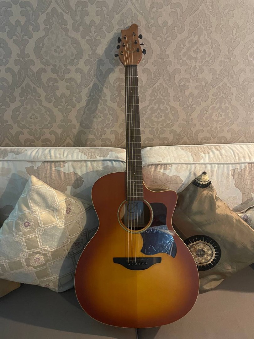 Cristofori MGA-360 HB Acoustic Guitar, Hobbies & Toys, Music & Media ...
