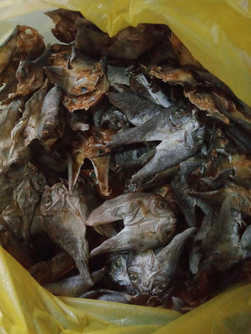 Dried Danggit, pusit at Dilis, Food & Drinks, Local Eats on Carousell