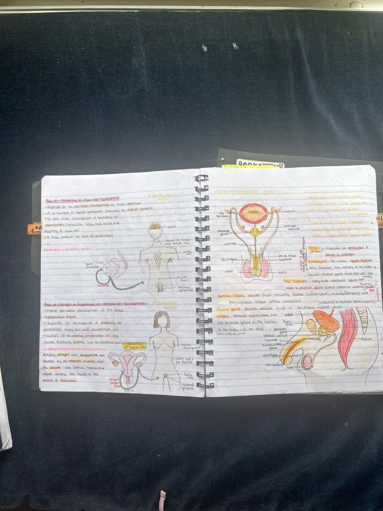 IB BIO HL FULL DETAILED NOTES FROM 7 STUDENT, Hobbies & Toys, Books ...