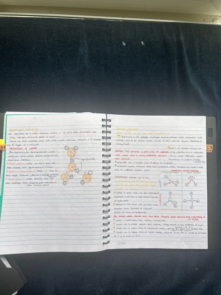 IB BIO HL FULL DETAILED NOTES FROM 7 STUDENT, Hobbies & Toys, Books ...