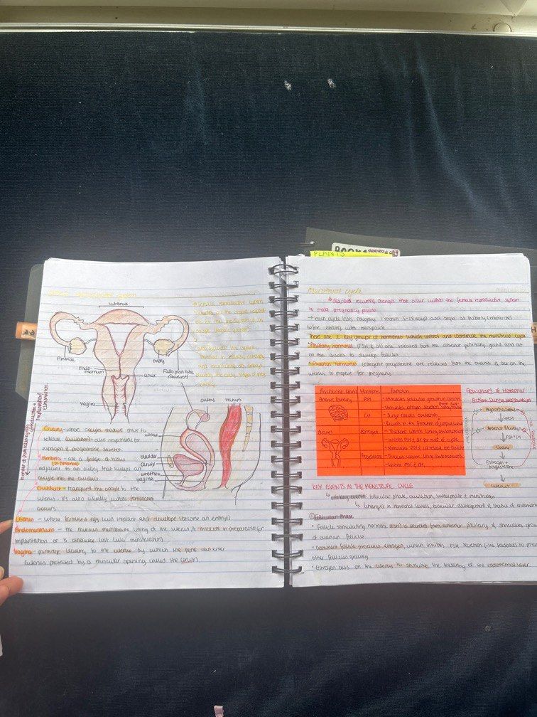 IB BIO HL FULL DETAILED NOTES FROM 7 STUDENT, Hobbies & Toys, Books ...