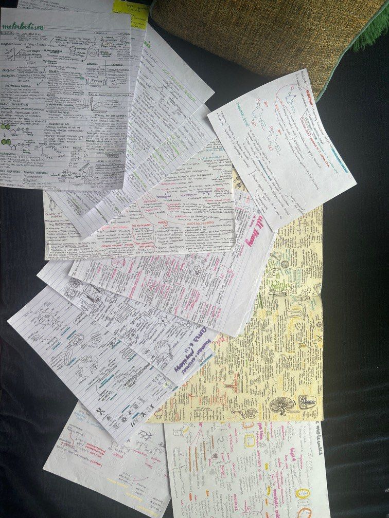 Ib Bio Hl Notes Summaries And Mindmaps Hobbies And Toys Books