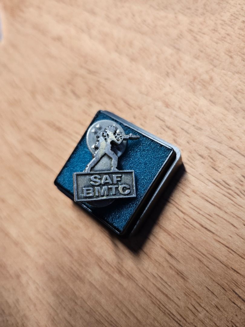 SAF Division Pin Badge, Hobbies & Toys, Memorabilia & Collectibles ...