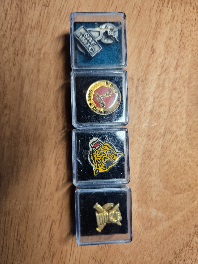 SAF Division Pin Badge, Hobbies & Toys, Memorabilia & Collectibles ...