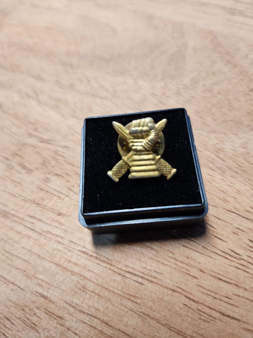 SAF Division Pin Badge, Hobbies & Toys, Memorabilia & Collectibles ...