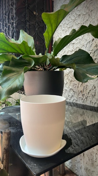 SMALL POTS WITH CATCH PLATE/SOIL - To Tondo Manila, Furniture & Home ...