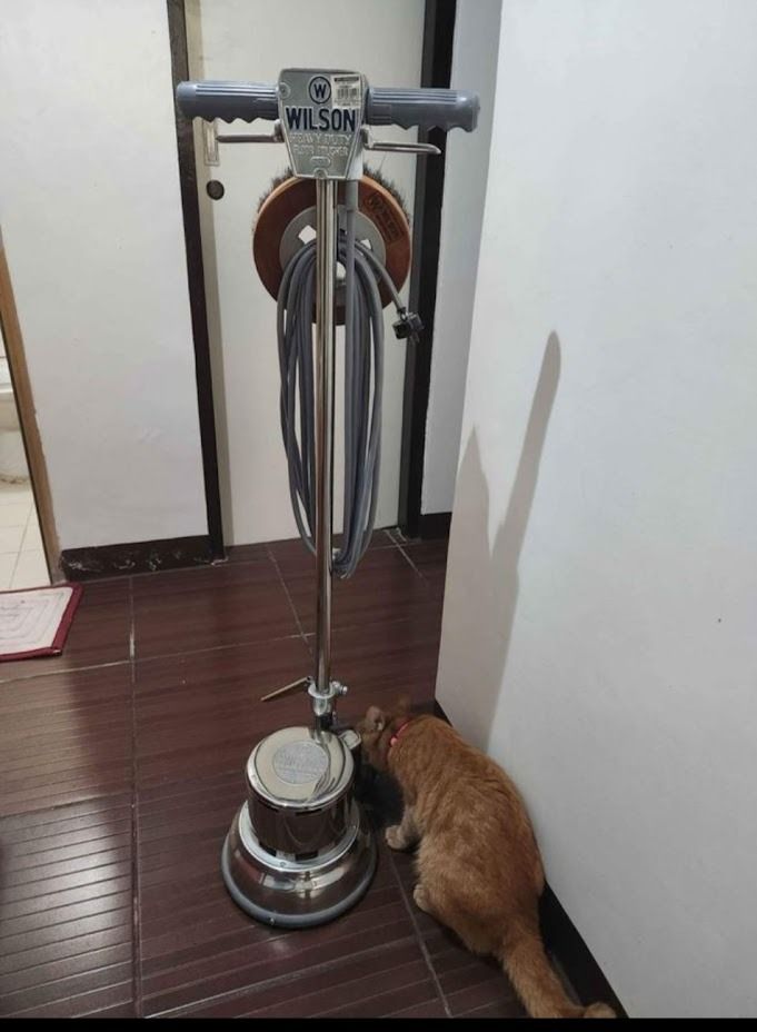 Wilson 8" Floor Polisher with free brush and bracket, Furniture & Home ...