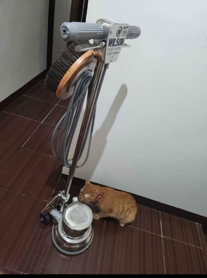 Wilson 8" Floor Polisher with free brush and bracket, Furniture & Home ...