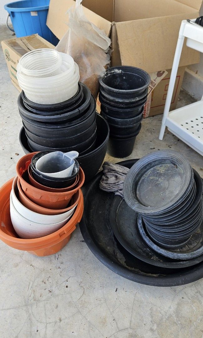 Assorted Pots and Saucer, Furniture & Home Living, Gardening, Pots ...