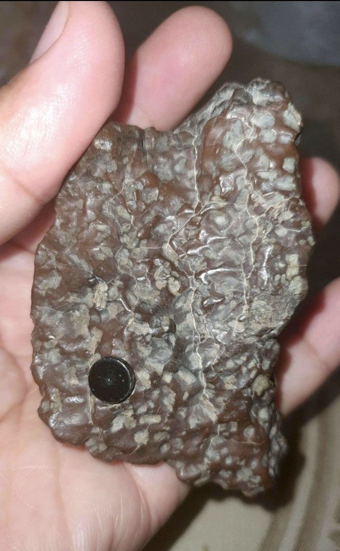 Batu Meteorit Unik dari Langit, Hobbies & Toys, Collectibles ...