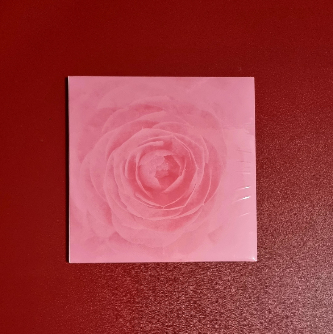 [CD] Ray – Camellia, Hobbies & Toys, Music & Media, CDs & DVDs on Carousell