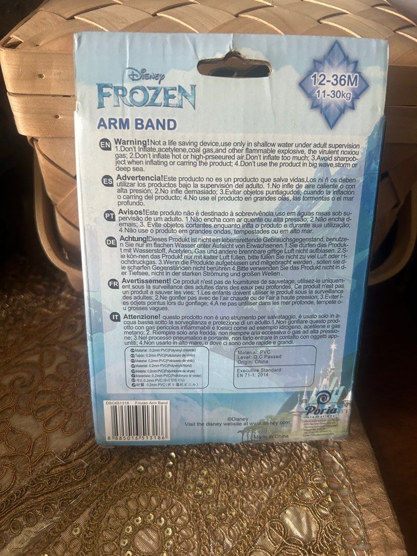 Frozen Arm Band Disney, Sports Equipment, Sports & Games, Water Sports ...