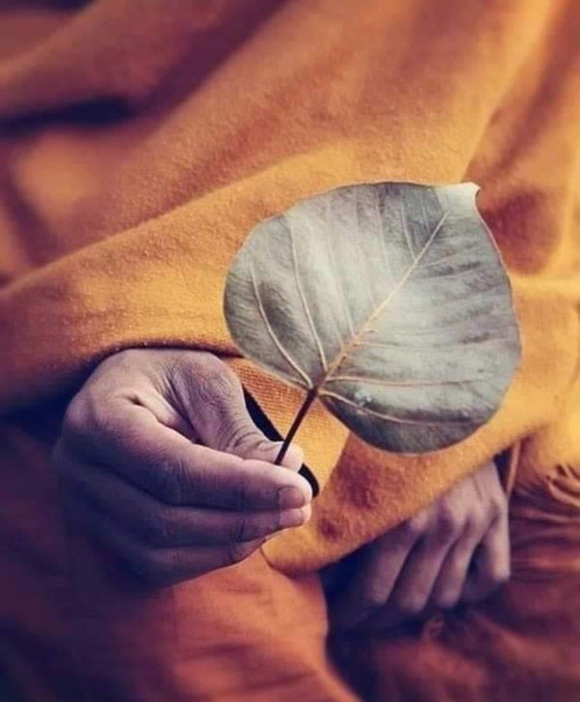 Luang Phu Woraphon Thawitian, Wat Chumphon BE2536, Roop Muen Bai Po ...