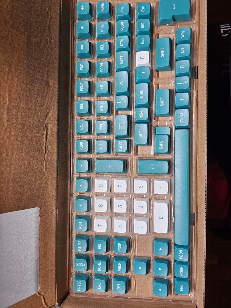 MSA Profile ABS doubleshot Turquoise and White keycaps, Computers ...
