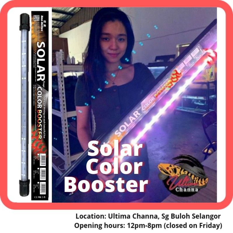 Neo Helios Solar Color Booster, Pet Supplies, Homes & Other Pet ...