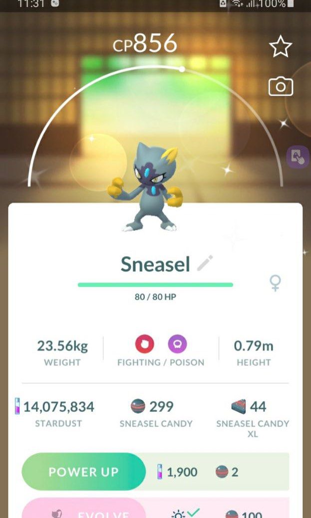Pokemon Go Shiny Hisuian Sneasel, Video Gaming, Gaming Accessories, In ...