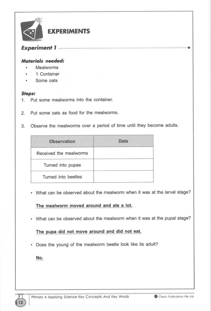Primary 4 P4 Science Assessment Book Key Concepts Notes PDF Digital ...