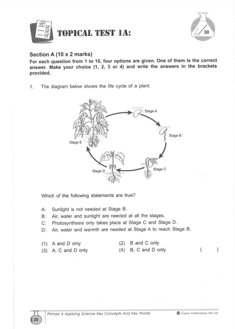 Primary 4 P4 Science Assessment Book Key Concepts Notes PDF Digital ...
