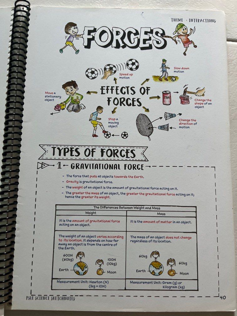 PSLE SCIENCE SKETCHNOTES, Hobbies & Toys, Books & Magazines, Assessment ...