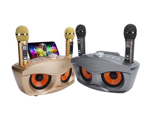 SDRD SD306-PLUS KARAOKE HOME KTV Dual Wireless Microphone Bluetooth ...
