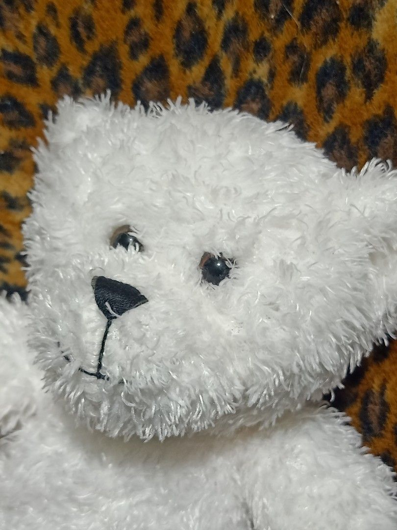 STEVEN SMITH BRAND WHITE POLAR BEAR PLUSH, Hobbies & Toys, Toys & Games ...