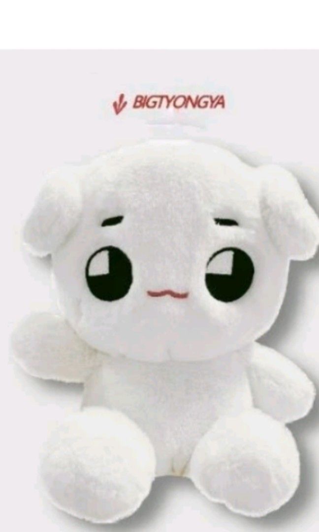 Taeyong Big Tyongya 40cm doll, Hobbies & Toys, Toys & Games on Carousell