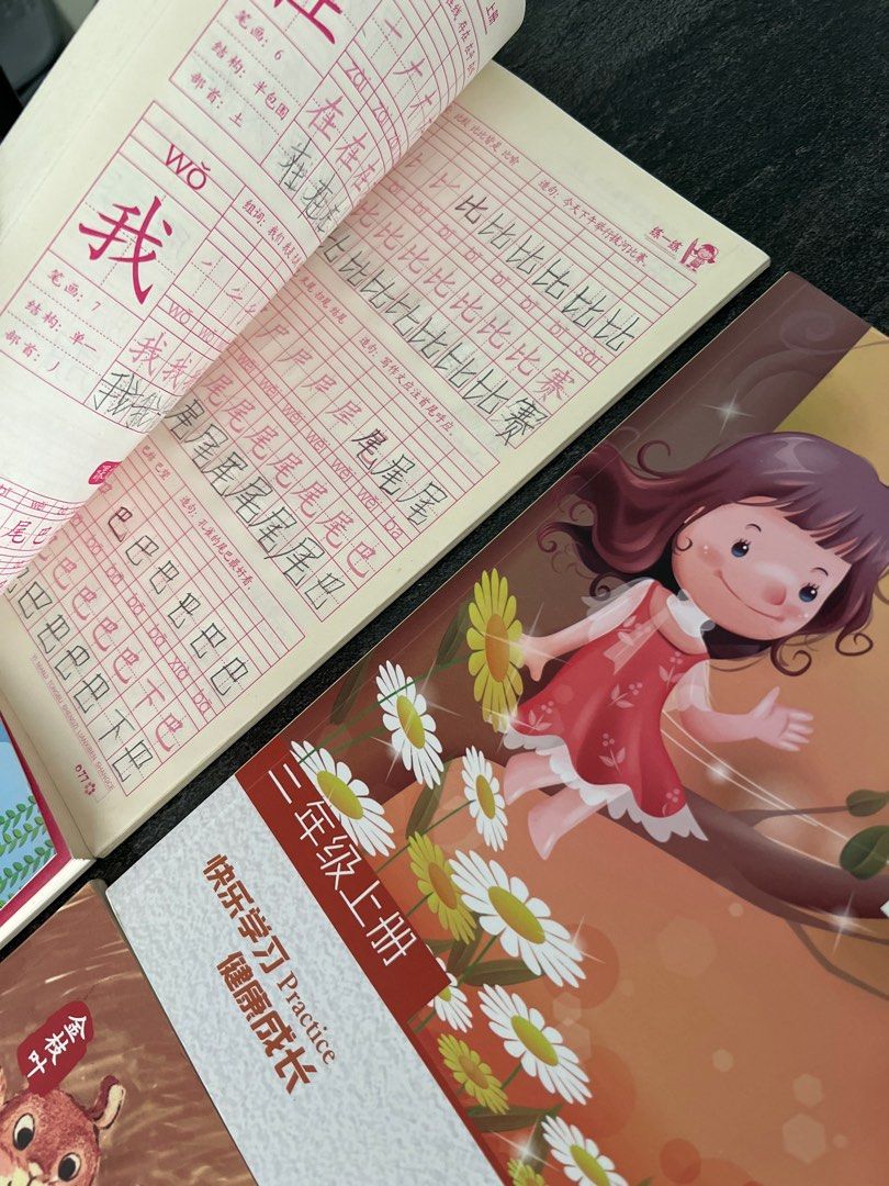 Chinese handwriting practice book, Hobbies & Toys, Books & Magazines ...