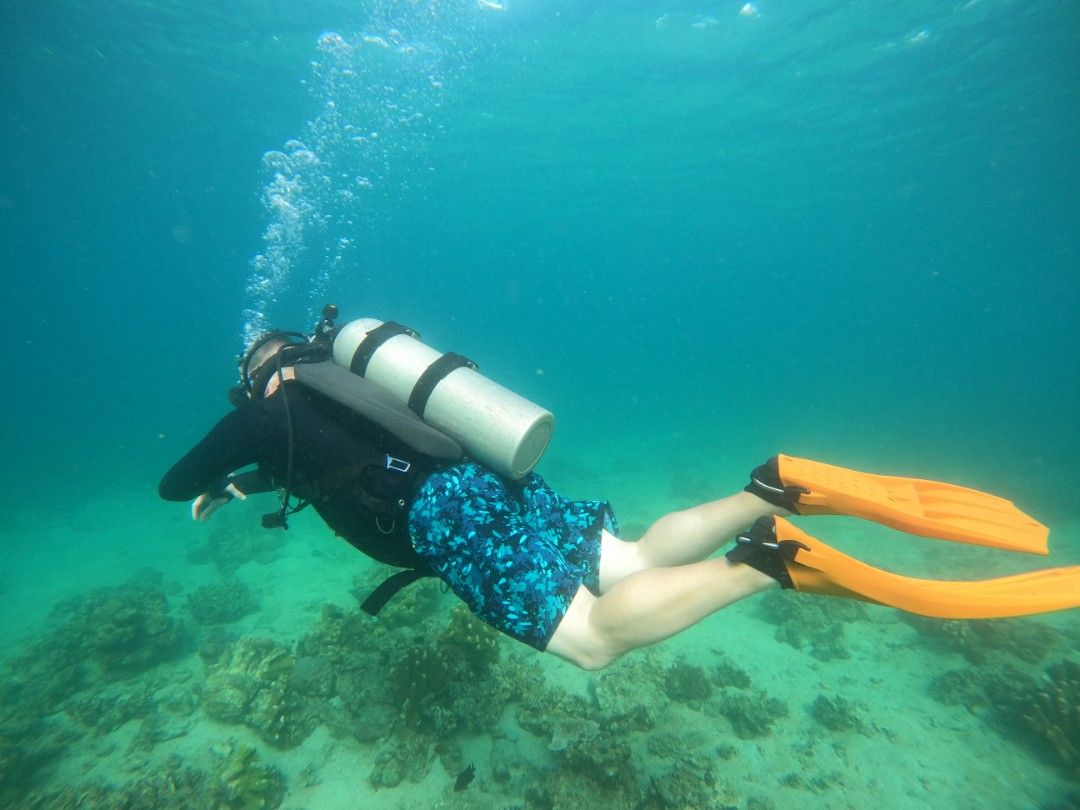 Dive Rite Transpac XT with Travel XT wing, Sports Equipment, Other Sports Equipment and Supplies ...